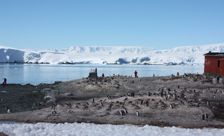 MIKKELSEN HARBOUR, ANTARCTIC – passion for fresh ideas