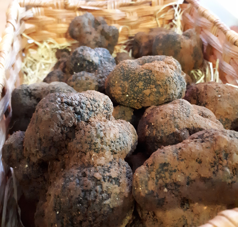 NAVARRE – GASTRONOMIC HEART OF SPAIN – passion for fresh ideas